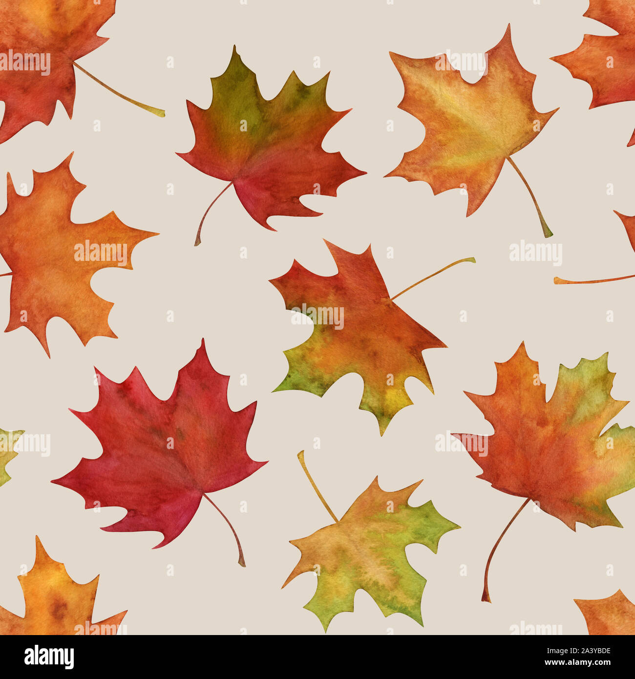 Hand drawn colorful maple leaves seamless pattern Stock Photo - Alamy