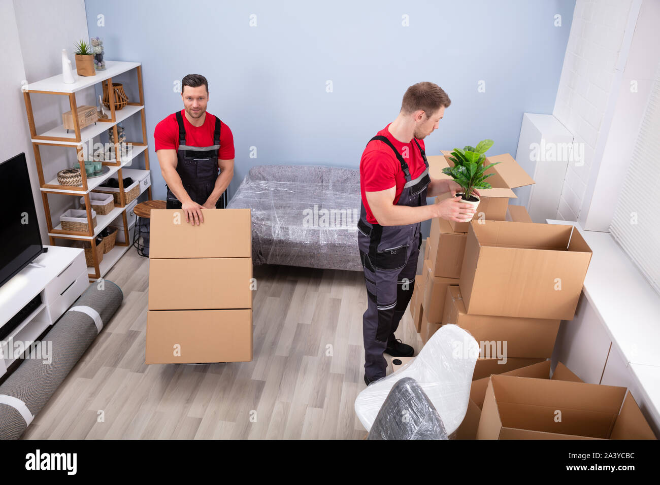 Portrait Of Young Male Mover Packing The Products In The Cardboard ...