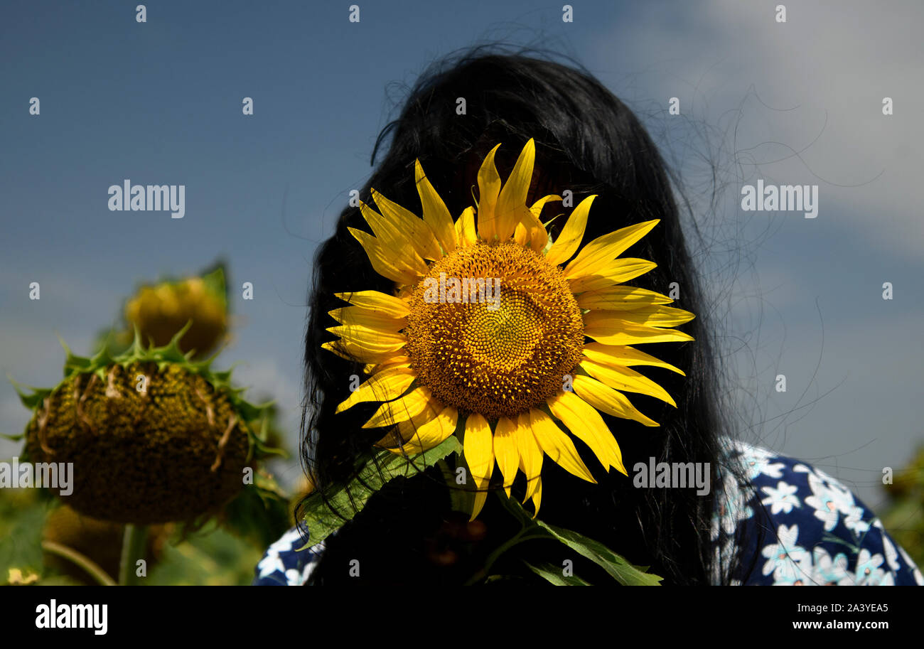 Girl hiding behind flower sunflower on a background of blue sky and ...