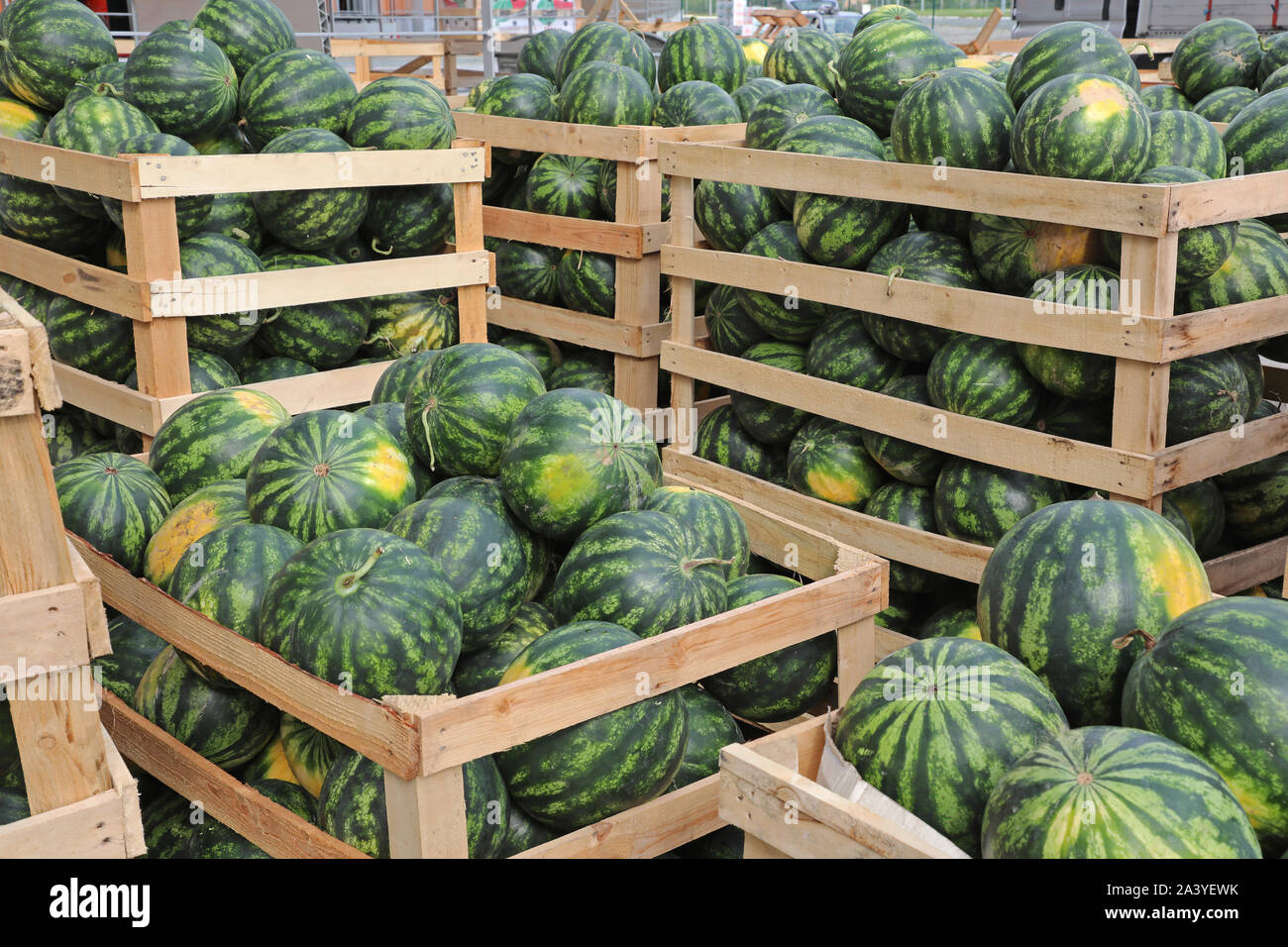 Watermelons watermelon crates crate hi-res stock photography and images ...