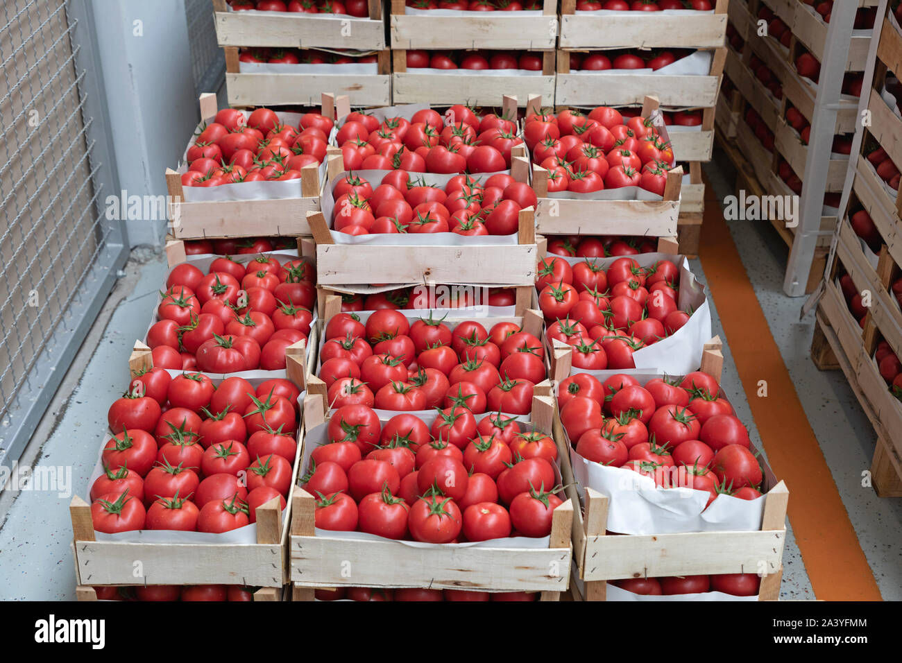 Crates of Red Tomatoes in Warehouse Storage Stock Photo - Alamy