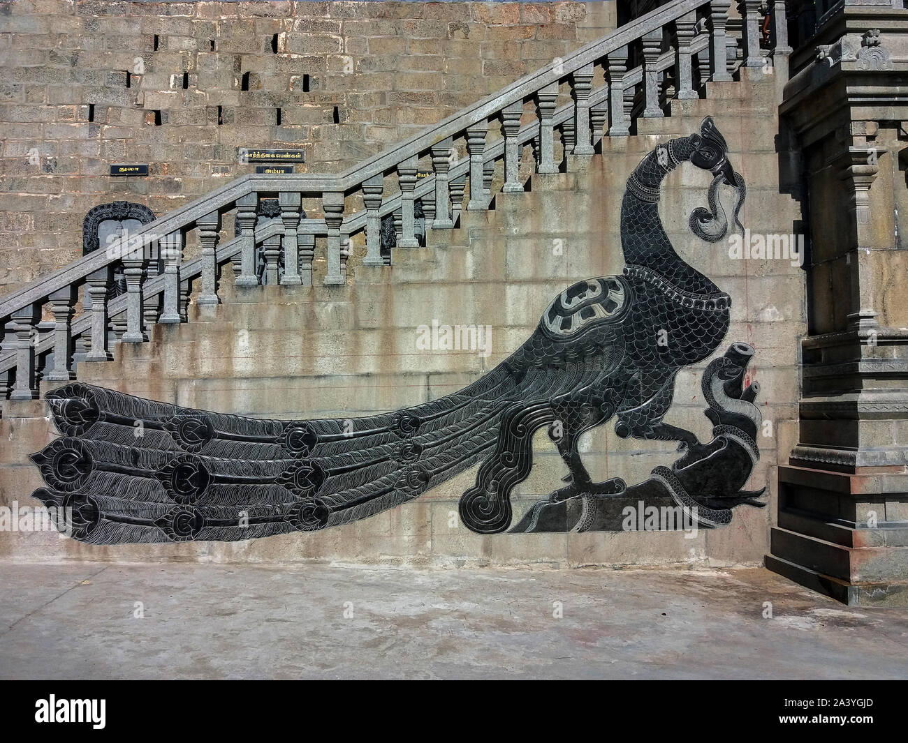 where nature's greenery lie entwined with the calmness of the village ...