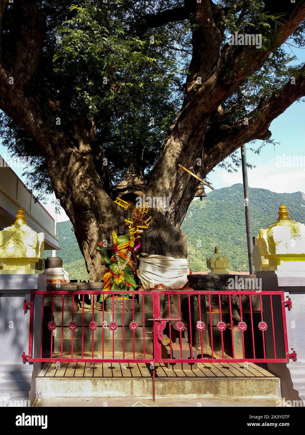 where nature's greenery lie entwined with the calmness of the village ...