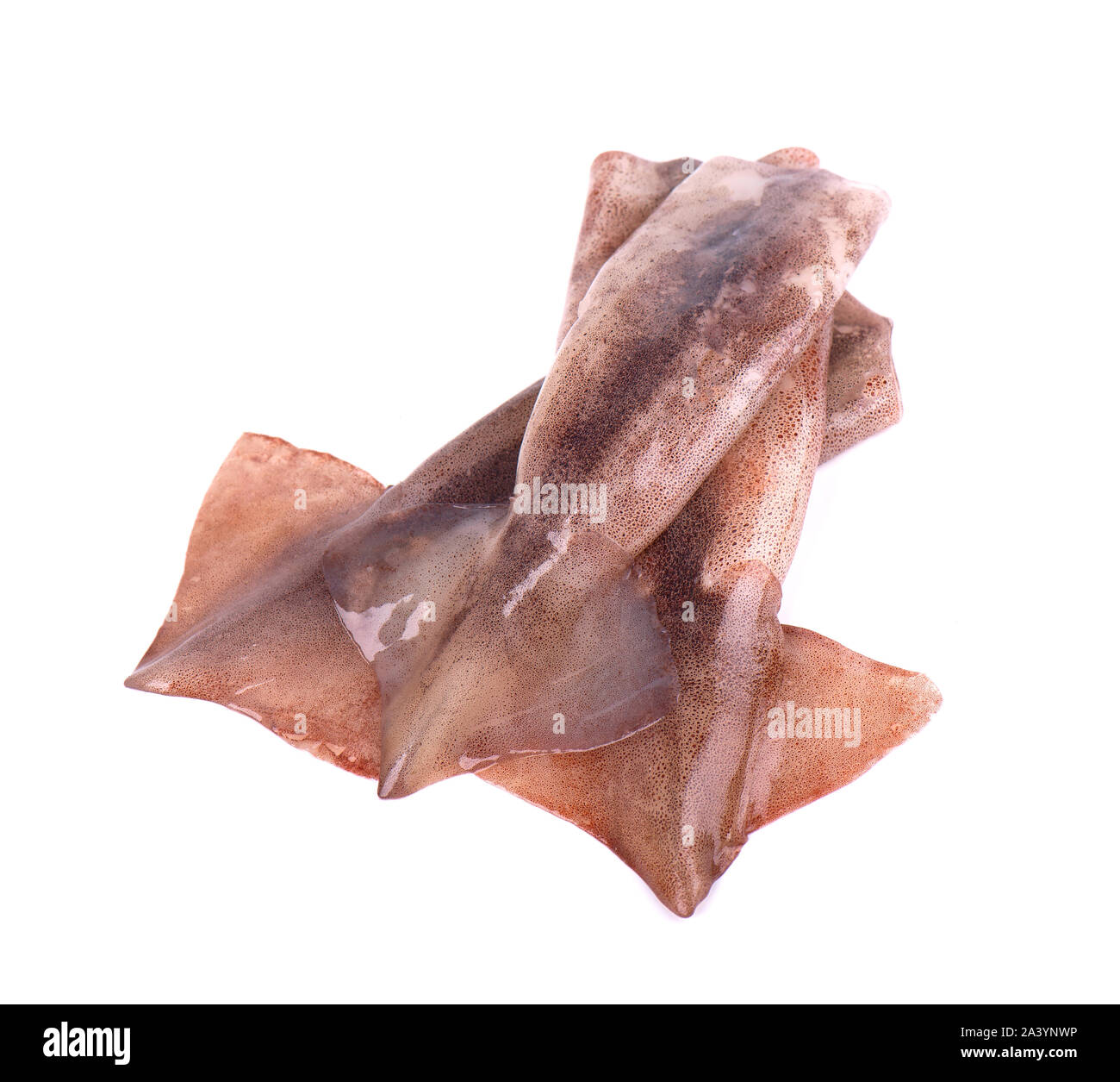 Fresh squid isolated on white background. Two squid Stock Photo - Alamy