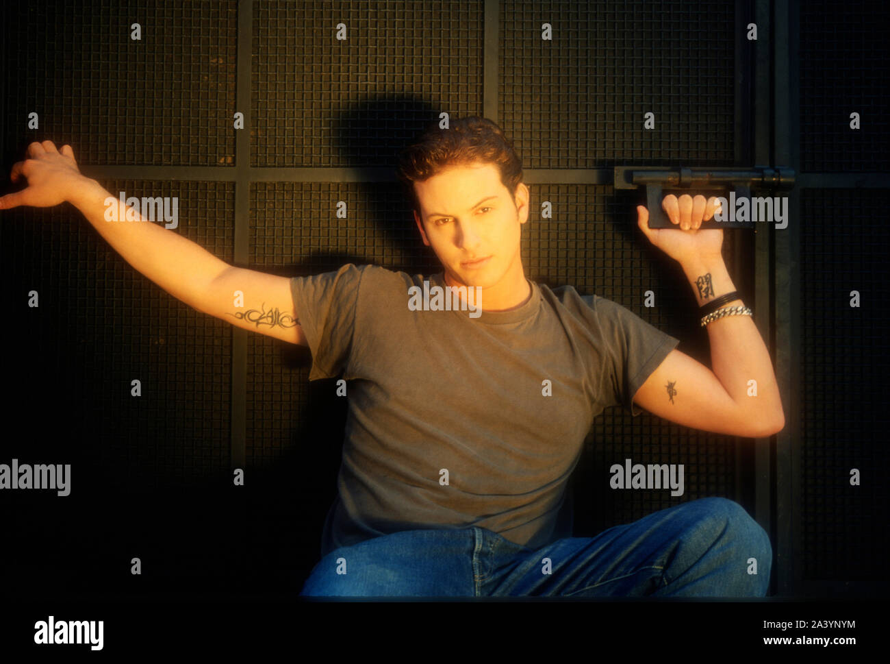 Los Angeles, California, USA 1st February 1995 (Exclusive) Actor Harold ...