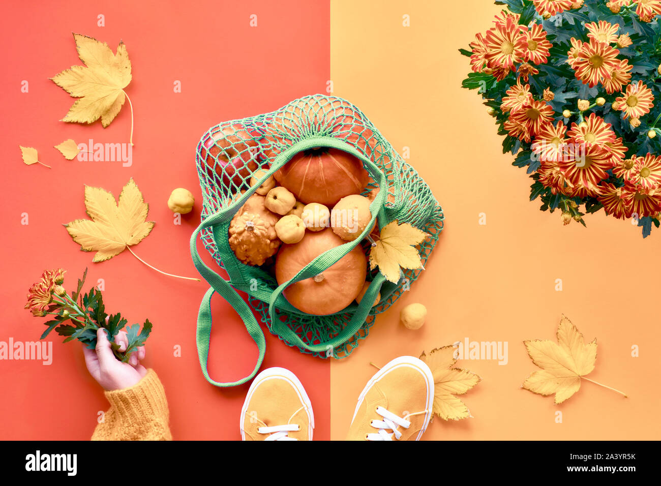 Split color background hi-res stock photography and images - Alamy