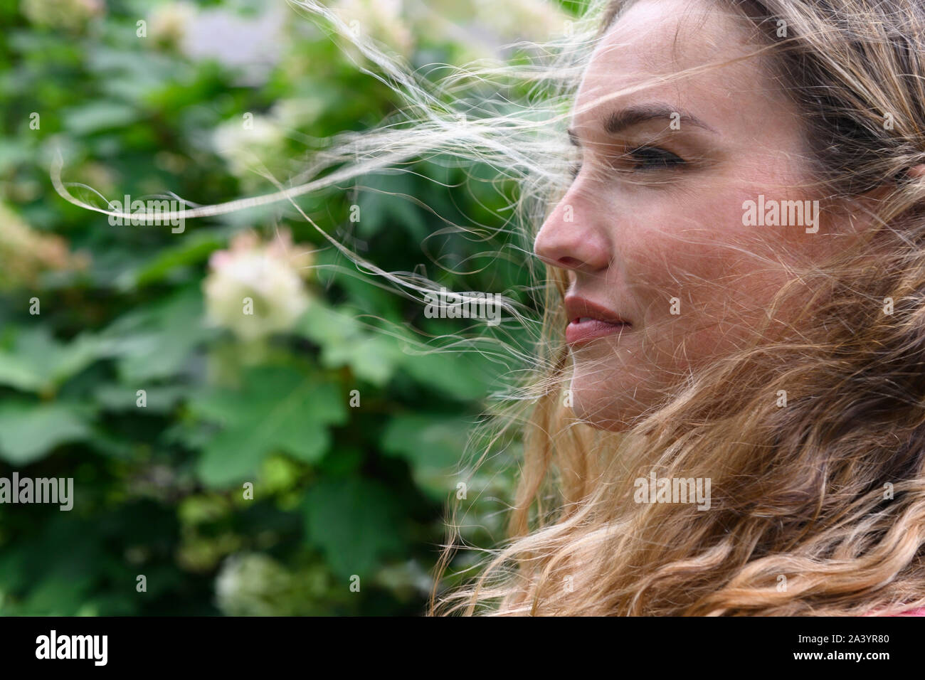 Woman windswept hair back hi-res stock photography and images - Alamy