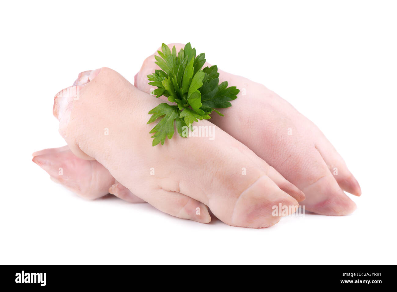 Raw pork legs with a sprig of parsley, isolated on a white background ...