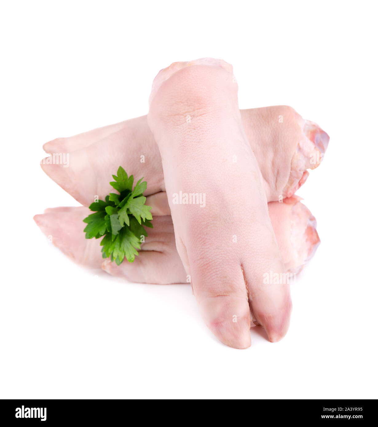 Raw pork legs with a sprig of parsley, isolated on a white background ...