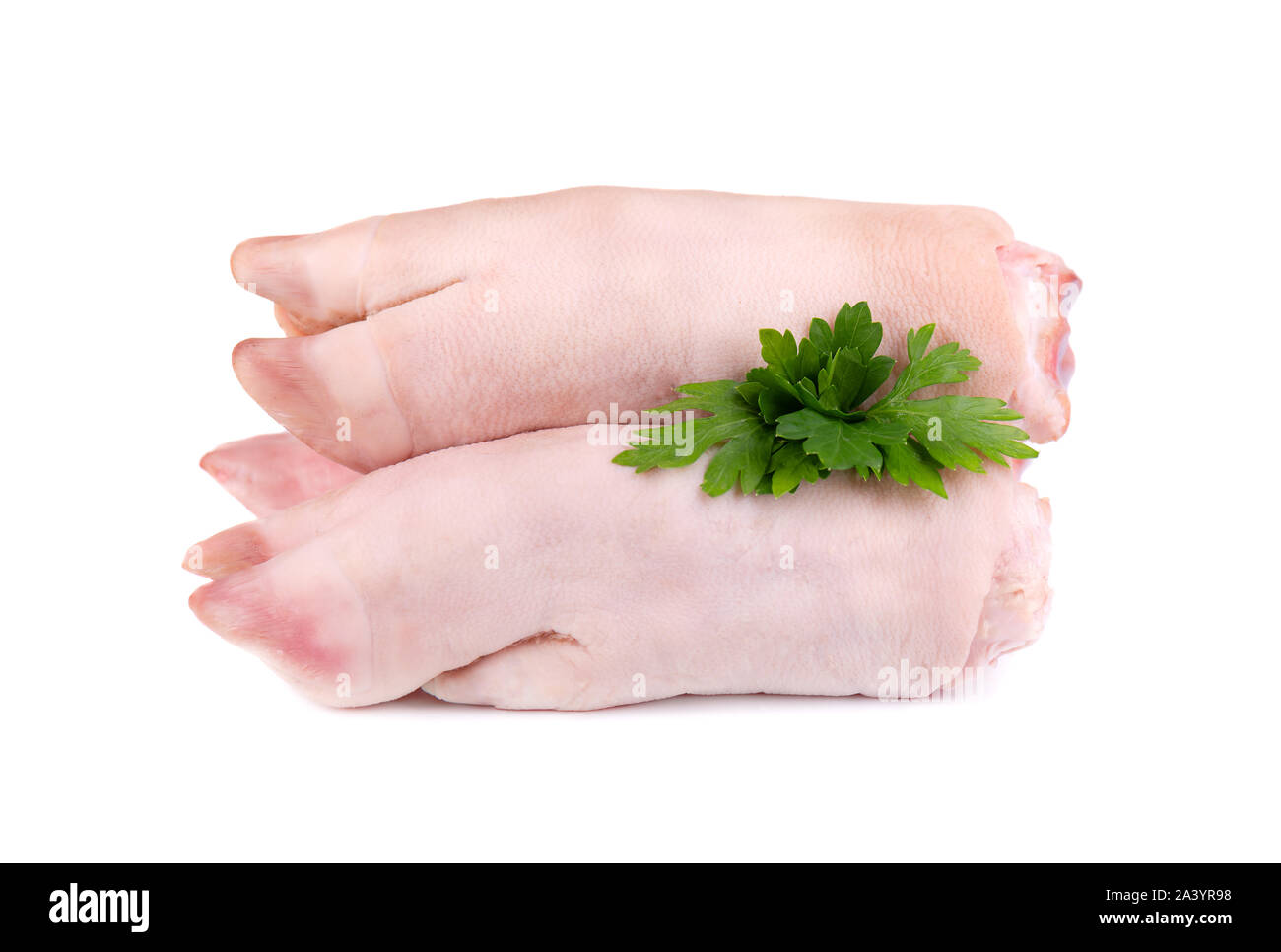 Pig hoof isolated hi-res stock photography and images - Alamy