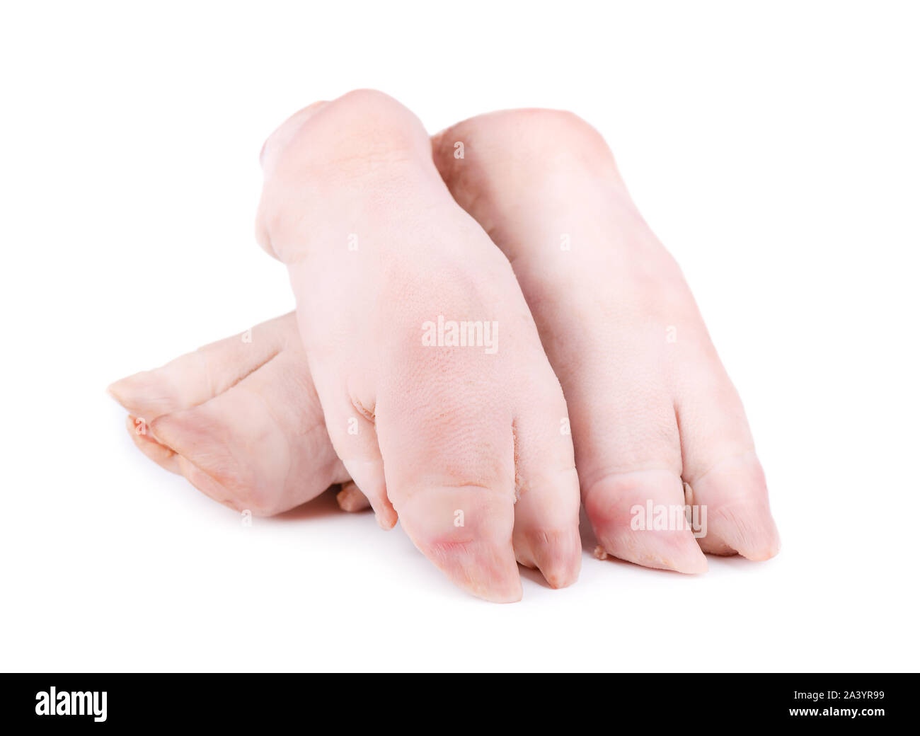 Raw pork legs, isolated on a white background. Fresh pig hooves Stock ...