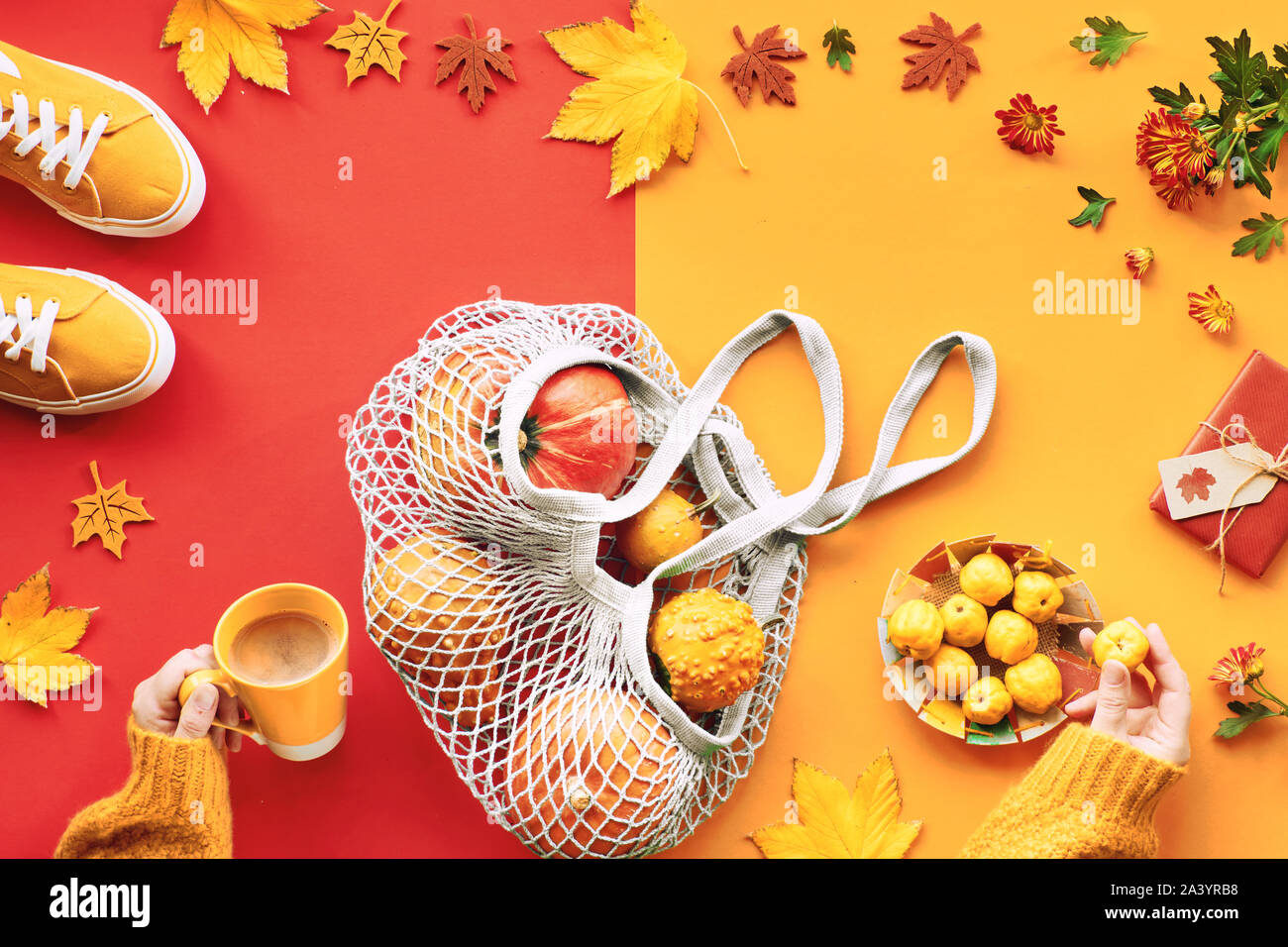 Split color background hi-res stock photography and images - Alamy