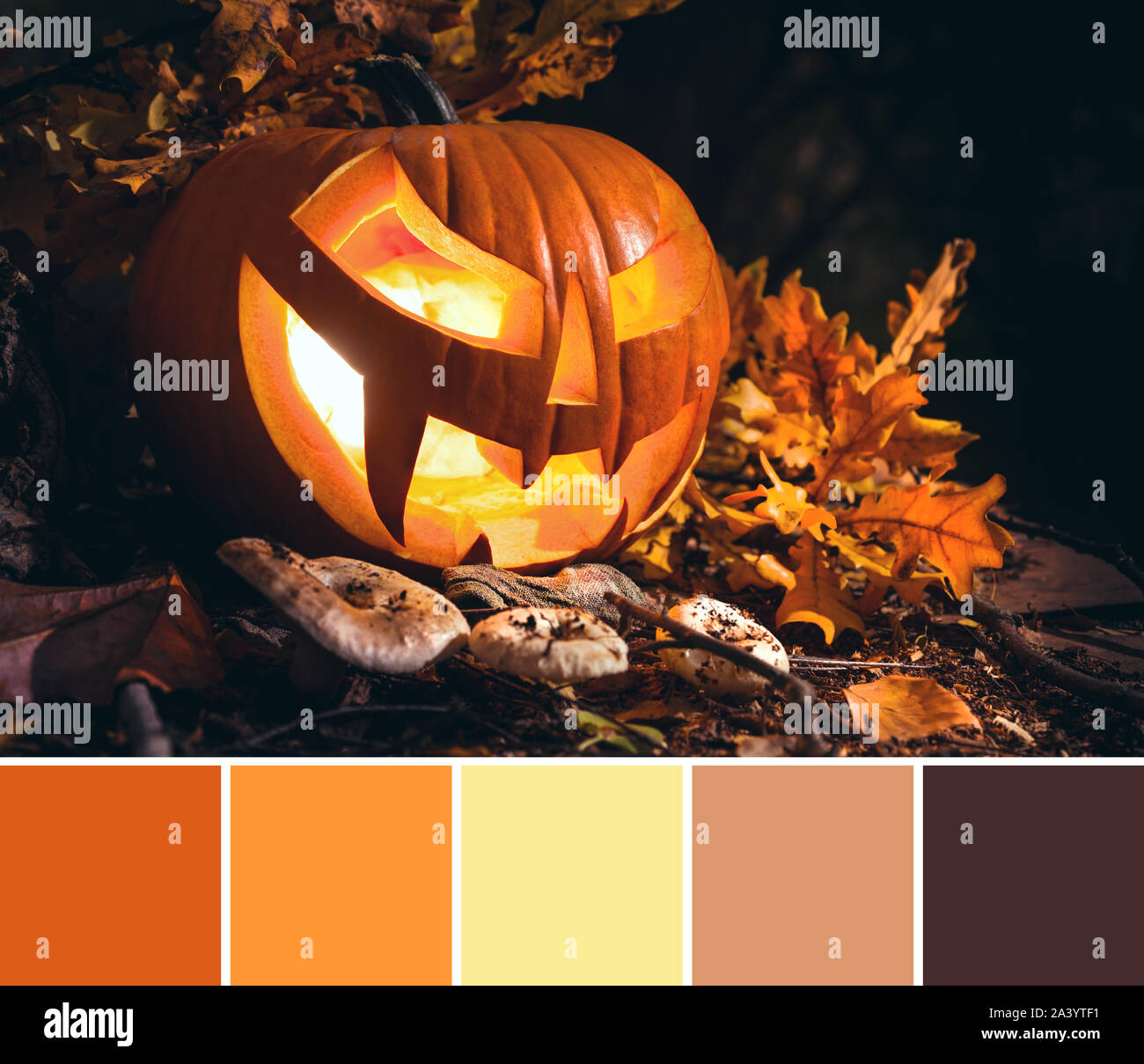 Analogous colour palette hi-res stock photography and images - Alamy