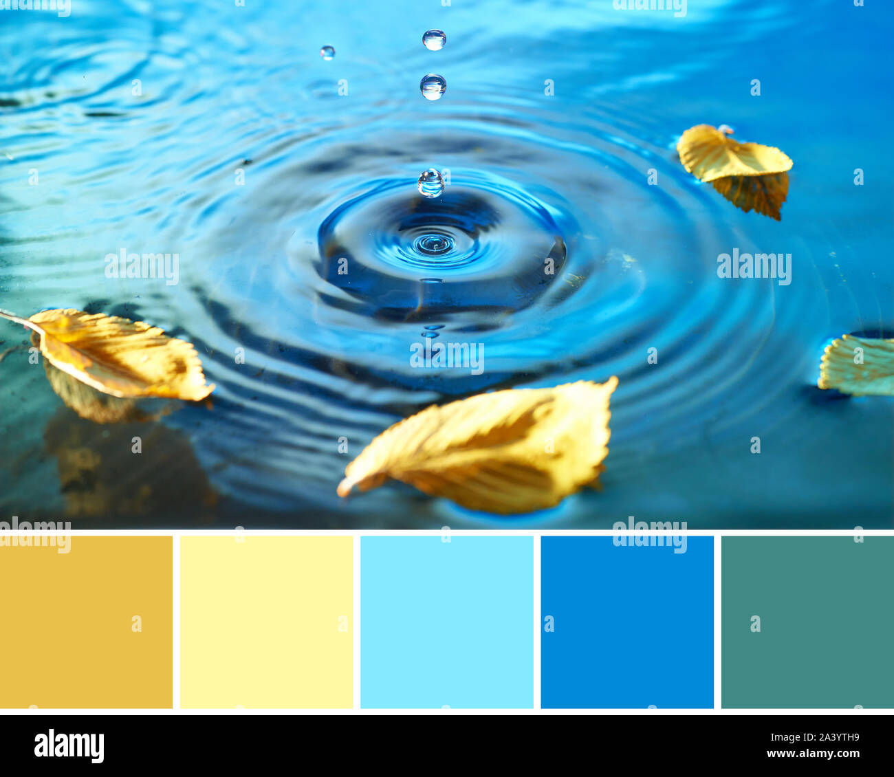 Color matching Autumn palette from image of Autumn leaves in water pool ...