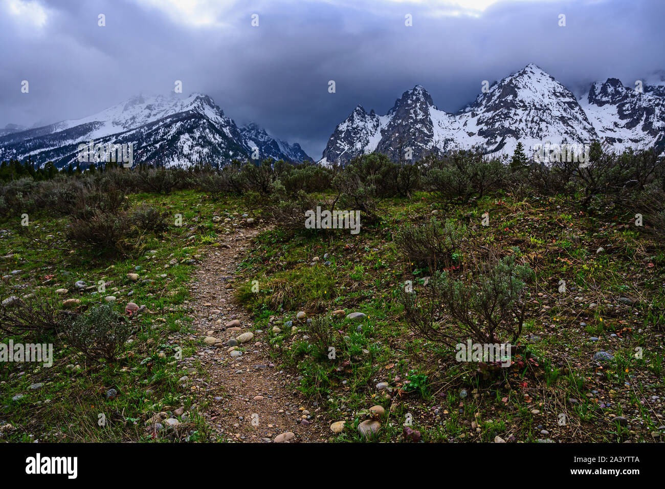 Snowcapped mountains by bush land in Grand Teton National Park, USA ...
