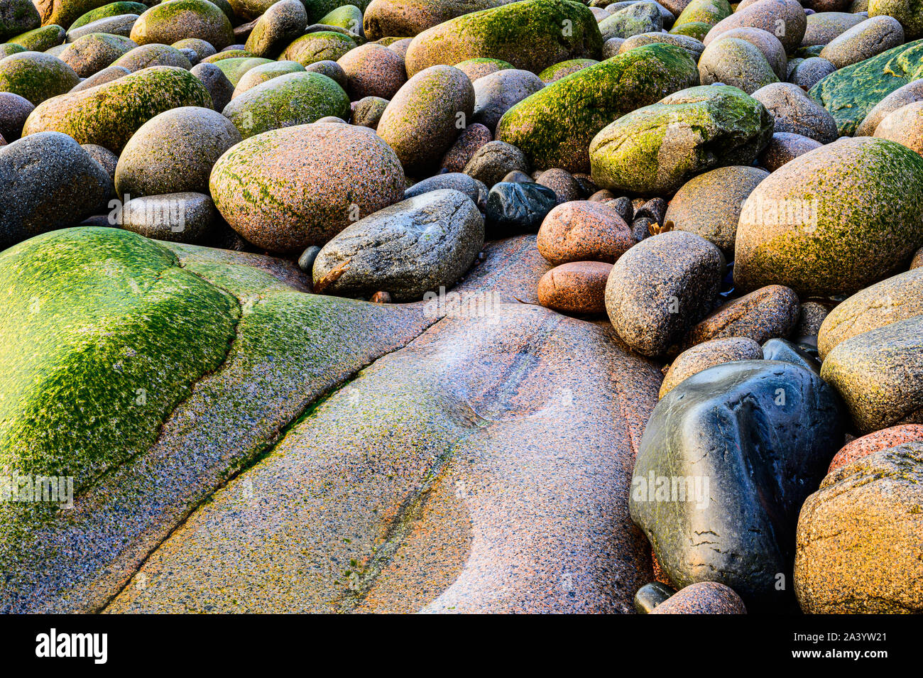 Rocks on beach in Acadia National Park, USA Stock Photo - Alamy