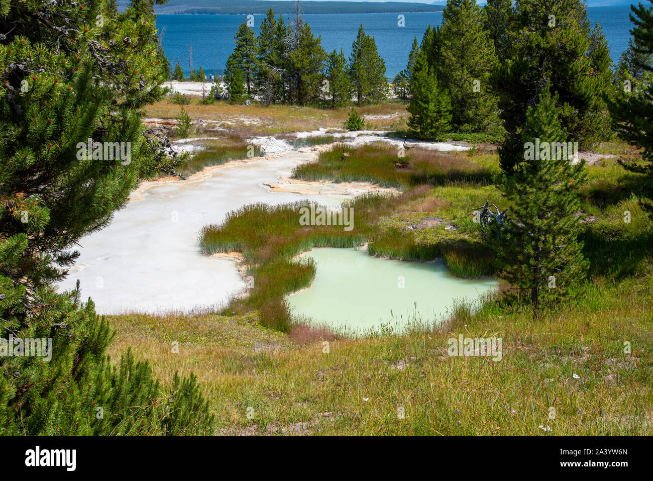 Hot springs in Yellowstone of vivid colors caused by thermophilic ...