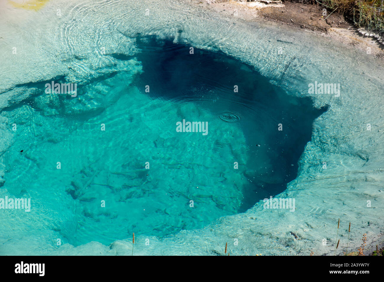 Blue hot springs in Yellowstone of vivid colors caused by thermophilic ...