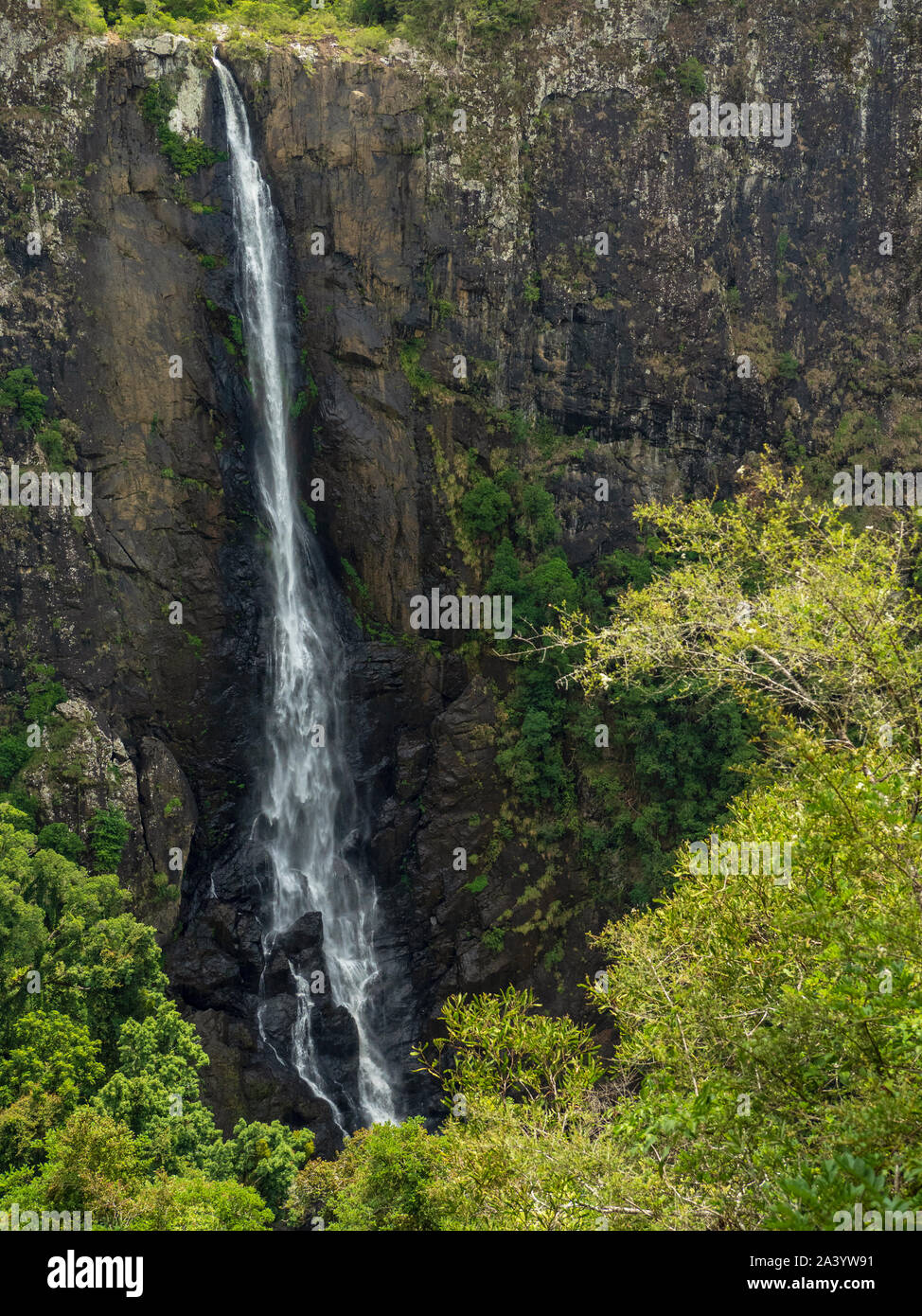 New elands hi-res stock photography and images - Alamy