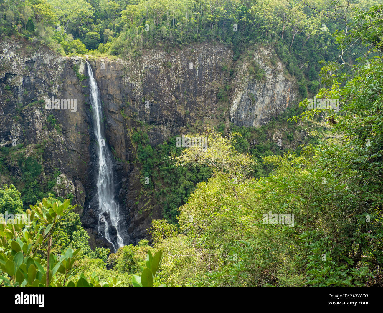 New elands hi-res stock photography and images - Alamy