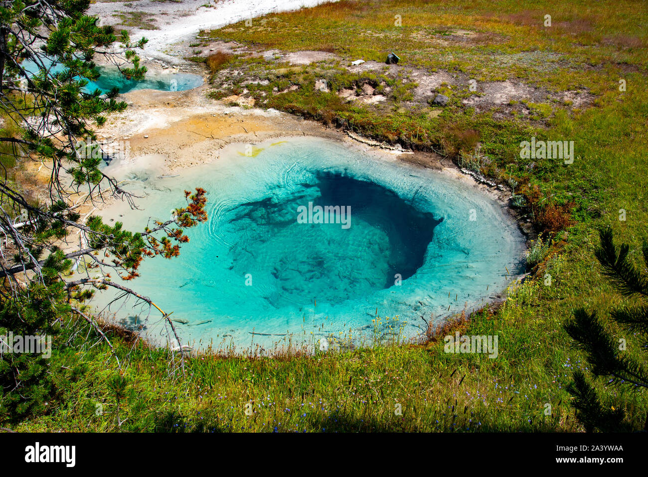 Blue Hot Springs Yellowstone National Park Photograph By