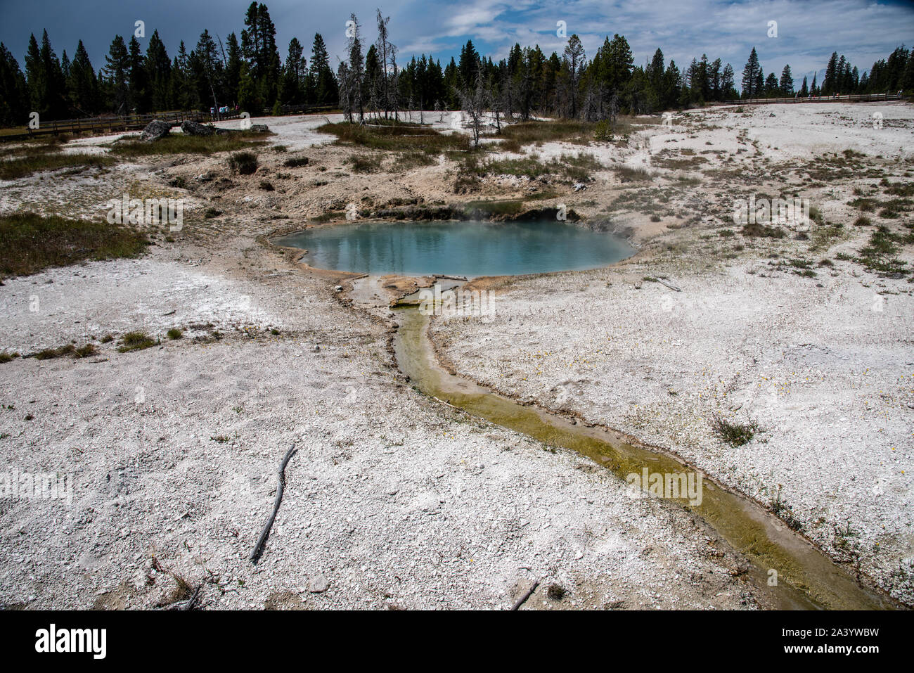 Hot springs in Yellowstone of vivid colors caused by thermophilic ...