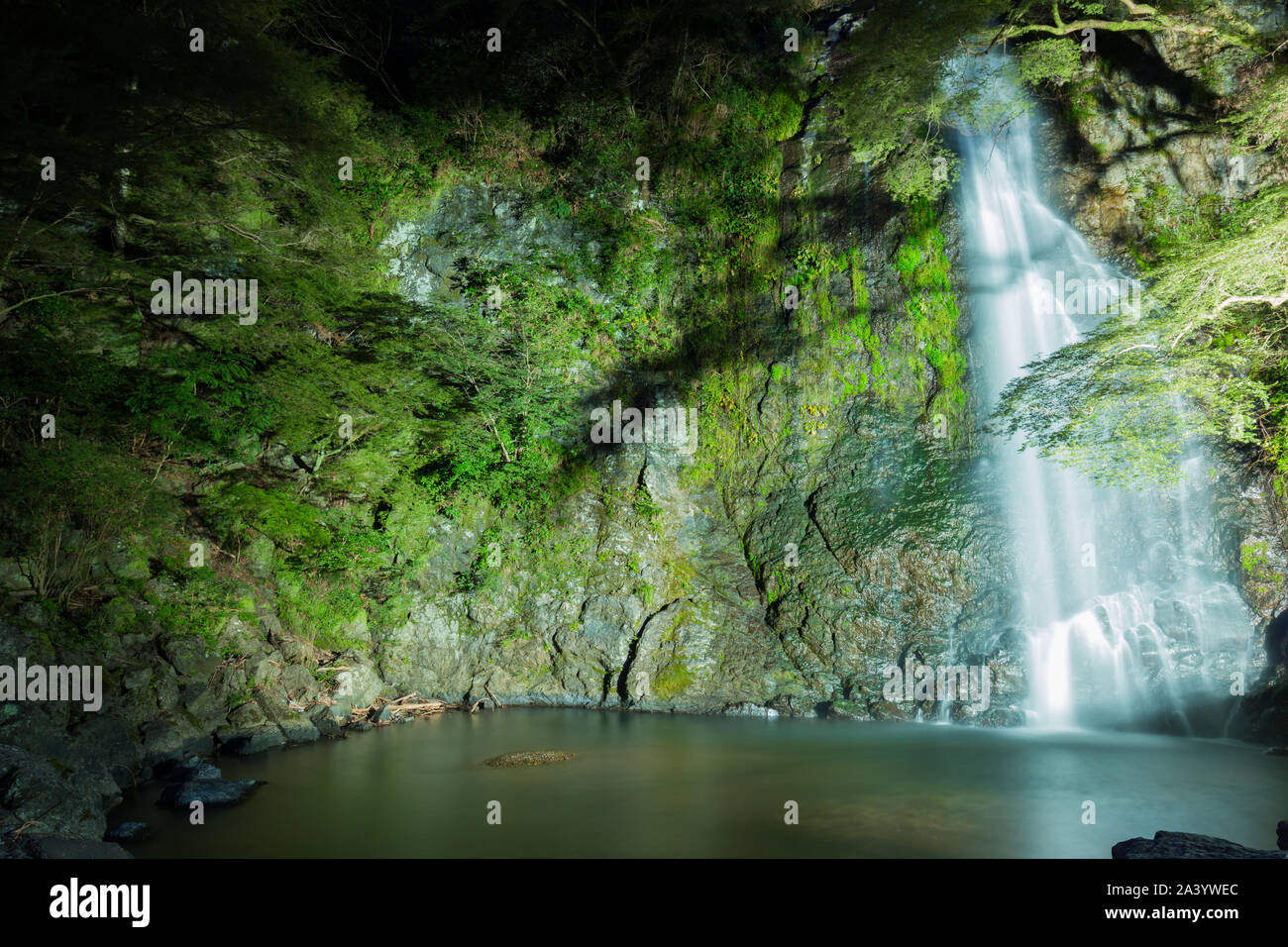 Minoh park hi-res stock photography and images - Alamy