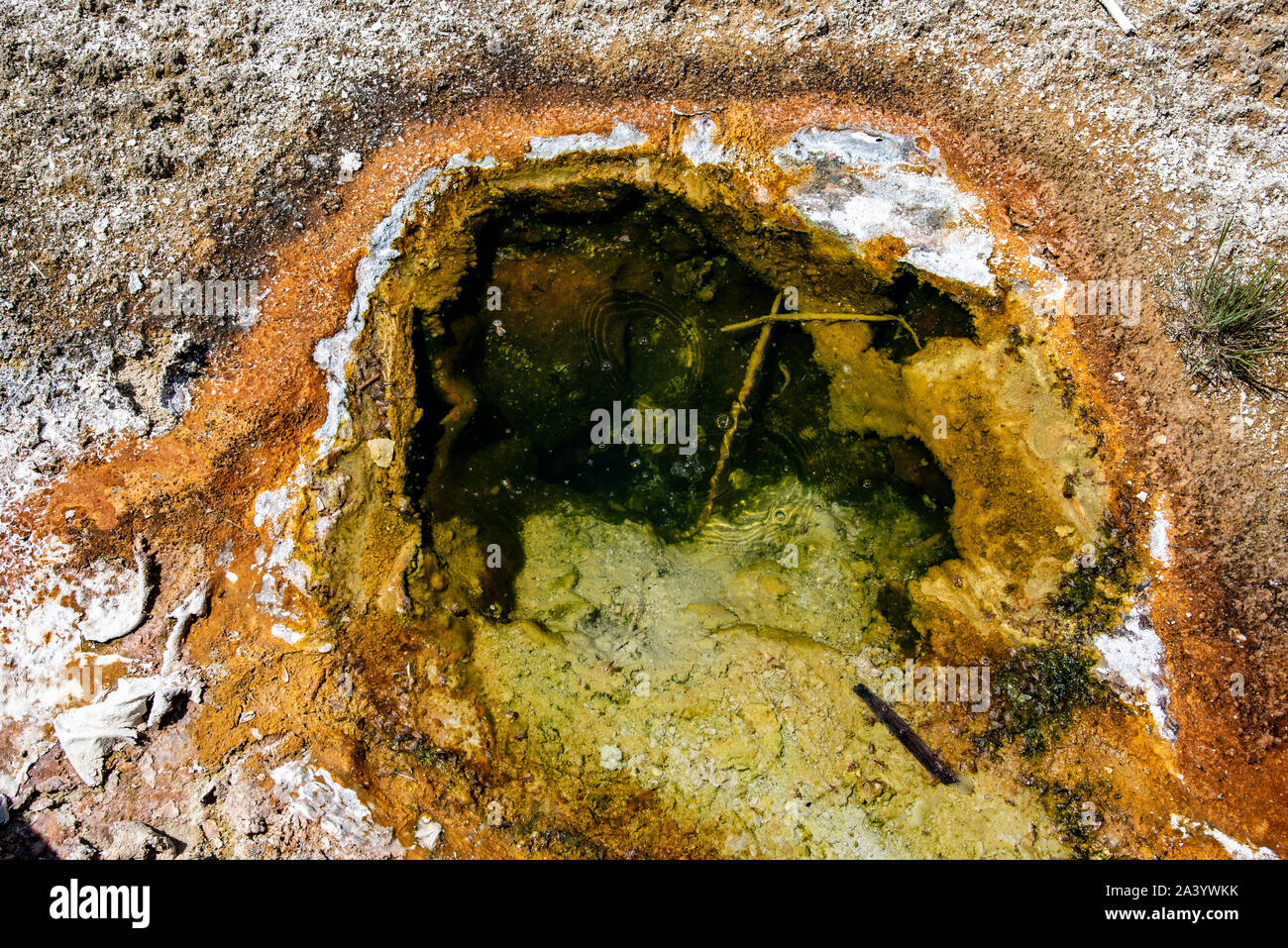 Hot springs in Yellowstone of vivid colors caused by thermophilic ...