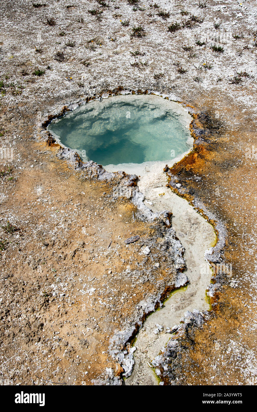 Hot springs in Yellowstone of vivid colors caused by thermophilic ...