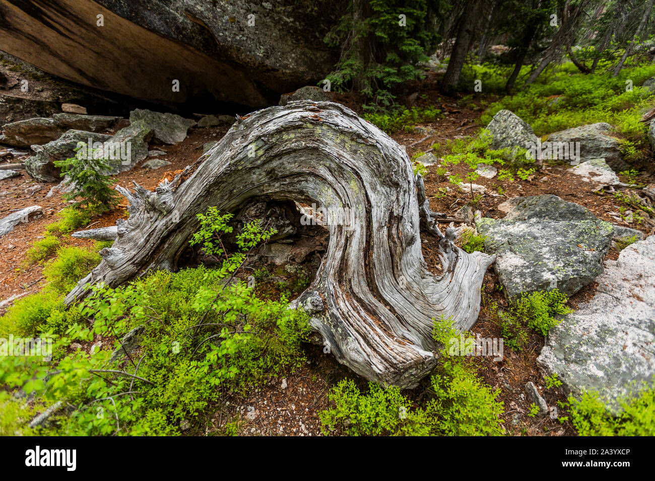 Twisted formation hi-res stock photography and images - Alamy