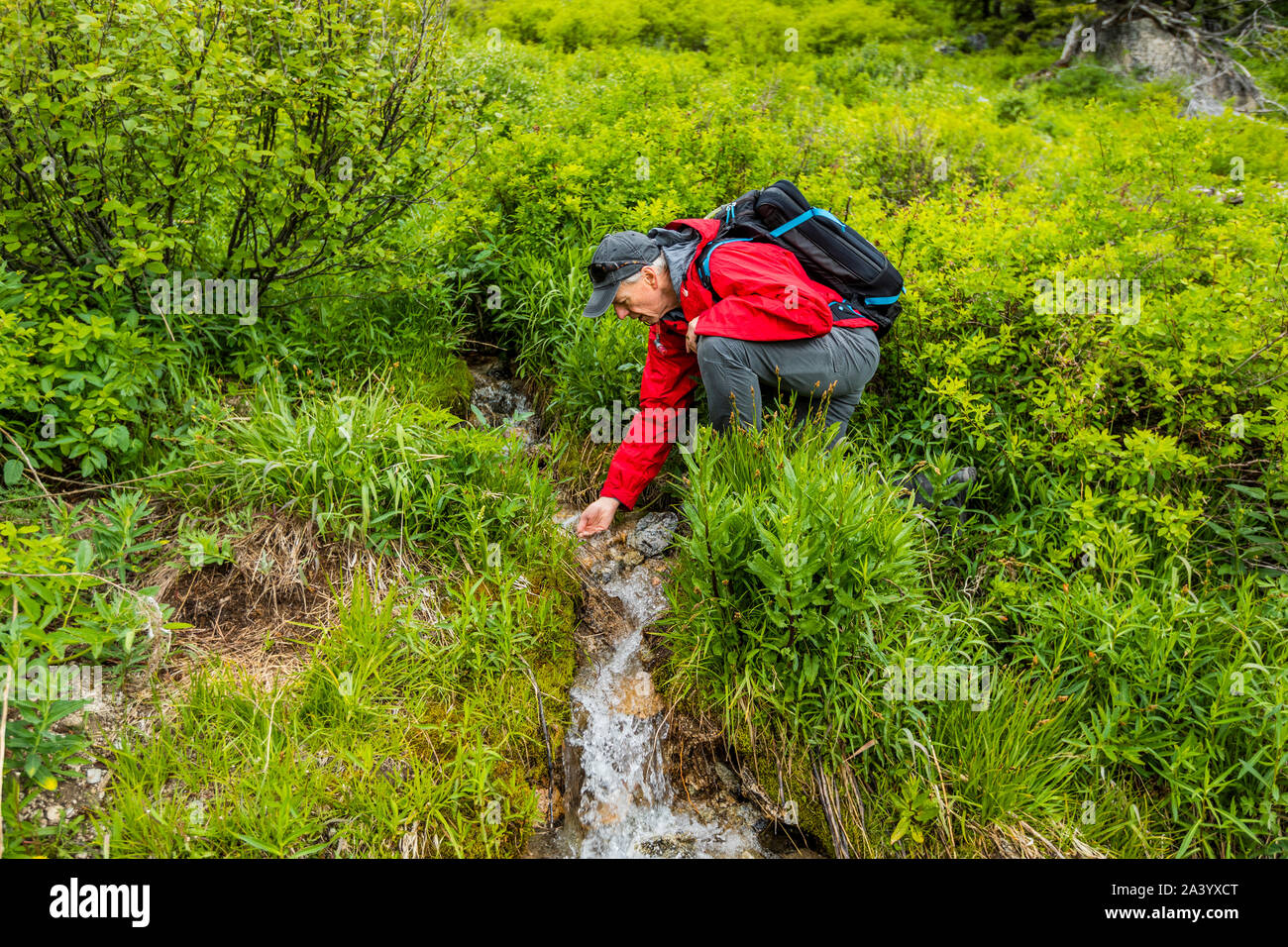 Senior man drinking from stream Stock Photo - Alamy
