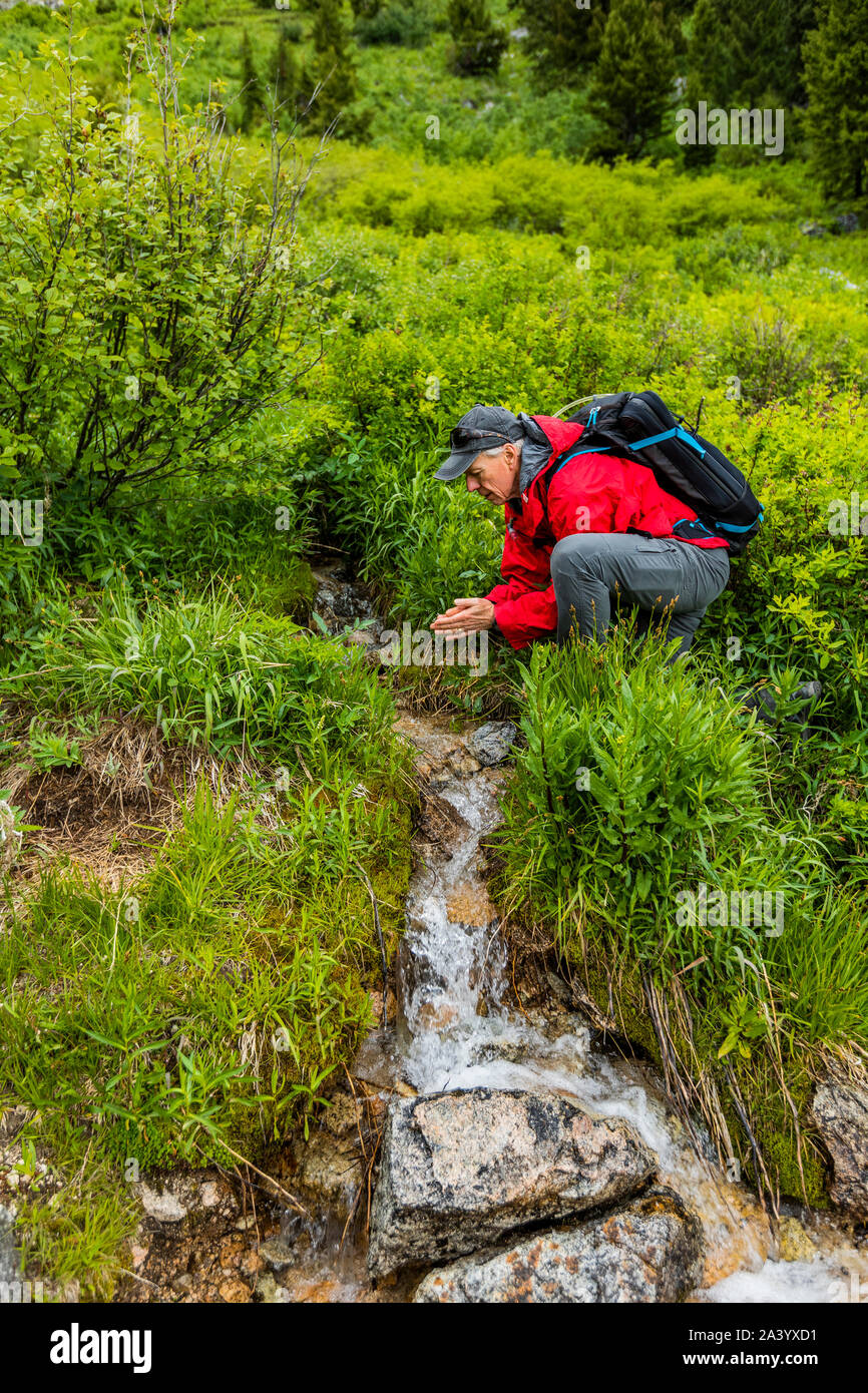 Senior man drinking from stream Stock Photo - Alamy