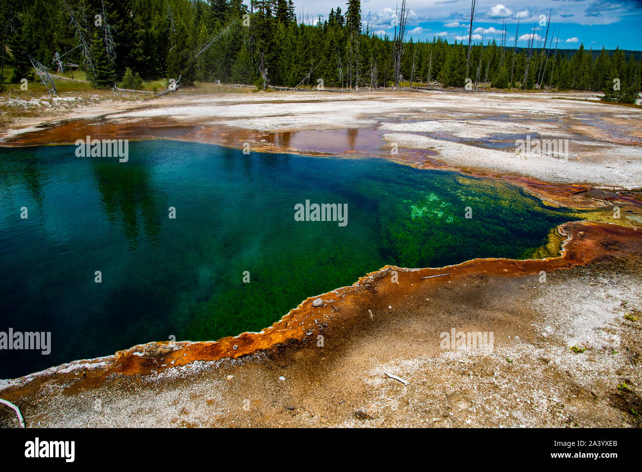 Abyss pool in Yellowstone of vivid colors caused by thermophilic ...