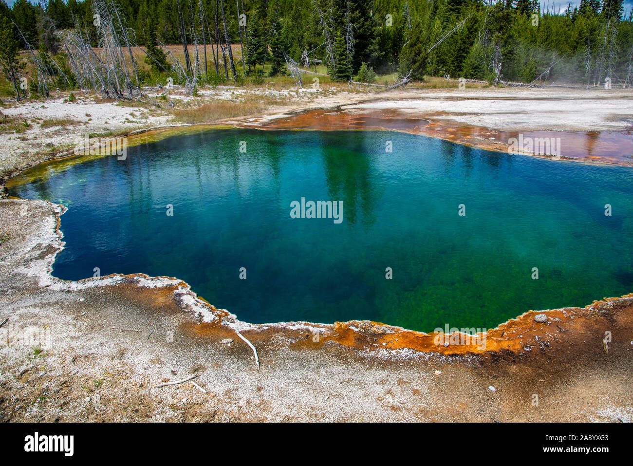 Abyss pool in Yellowstone of vivid colors caused by thermophilic ...