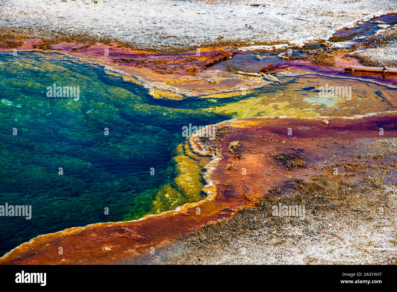 Abyss pool in Yellowstone of vivid colors caused by thermophilic ...