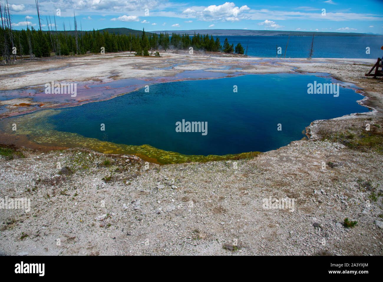 Abyss pool in Yellowstone of vivid colors caused by thermophilic ...