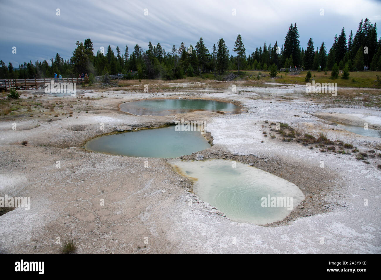 Hot springs in Yellowstone of vivid colors caused by thermophilic ...