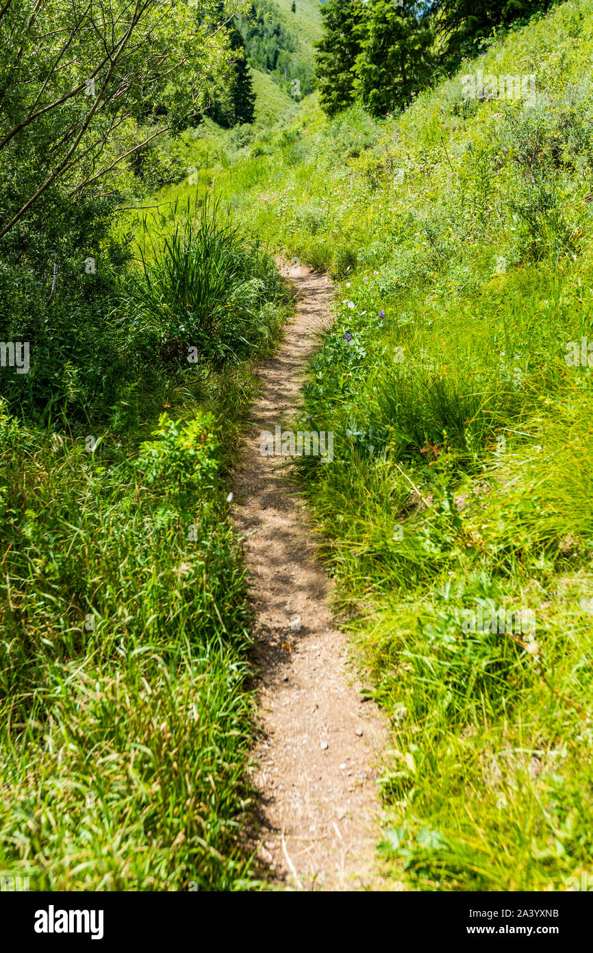 Path through grass hi-res stock photography and images - Alamy