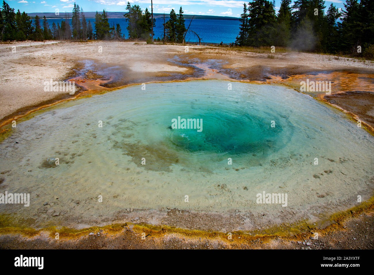 Funnel spring in Yellowstone of vivid colors caused by thermophilic ...