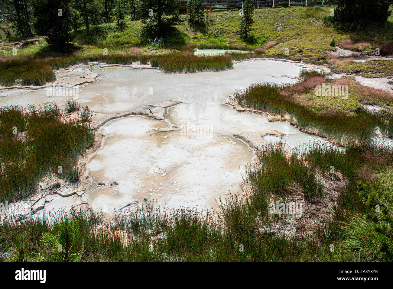 Hot springs in Yellowstone filled with bubbling mud Stock Photo - Alamy