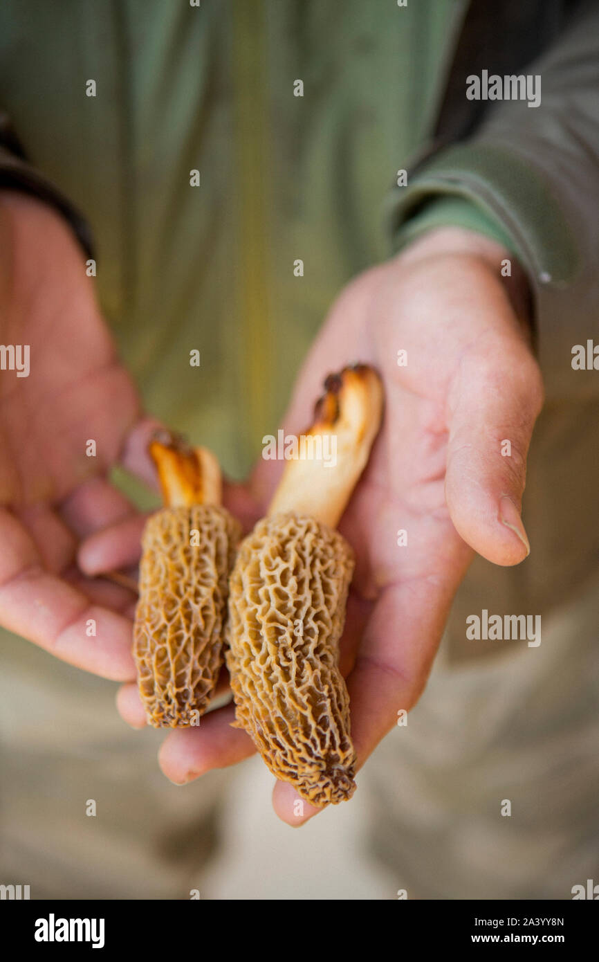 Moocher hi-res stock photography and images - Alamy