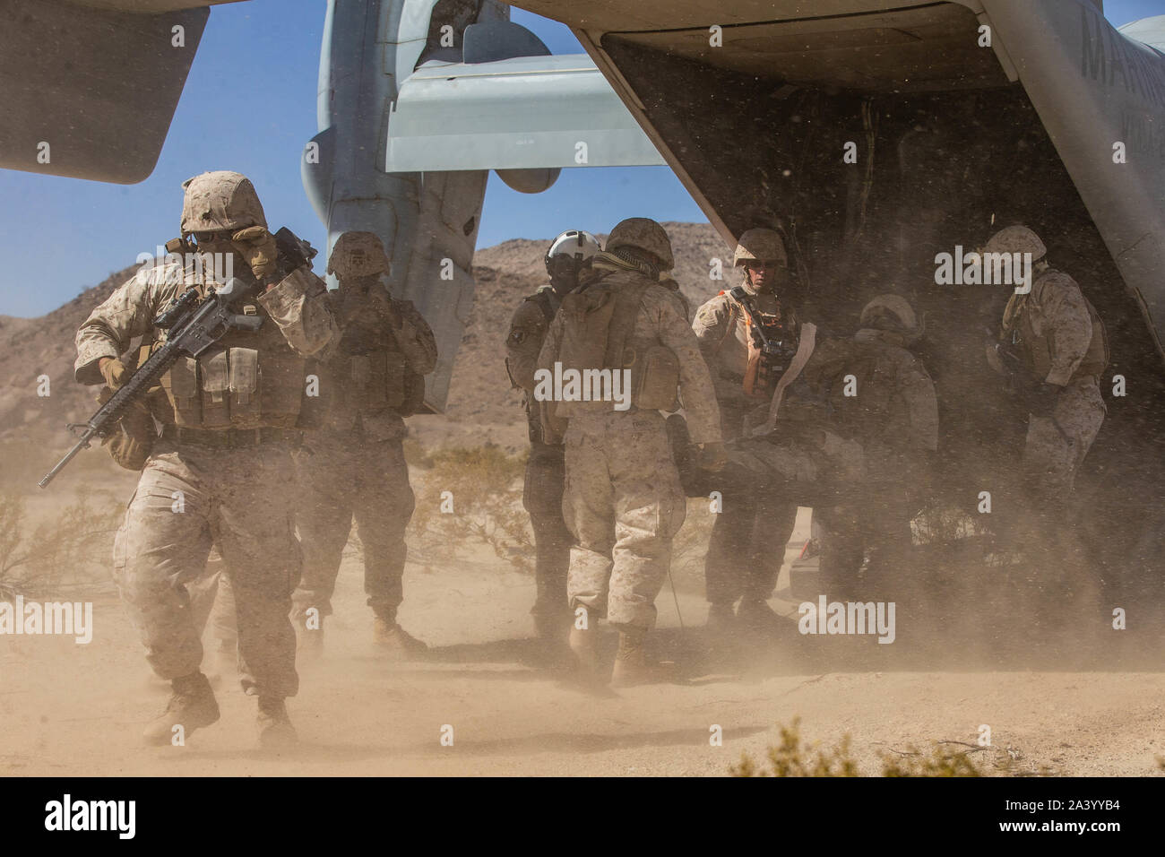 U.S. Marines with Combat Logistics Battalion (CLB) 8, Combat Logistics ...