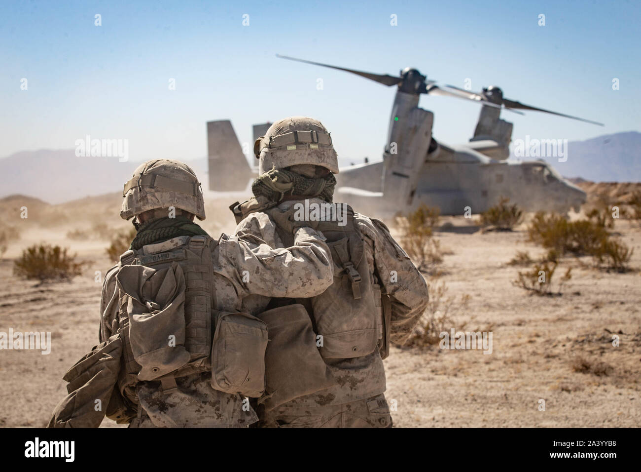 U.S. Marines with Combat Logistics Battalion (CLB) 8, Combat Logistics ...