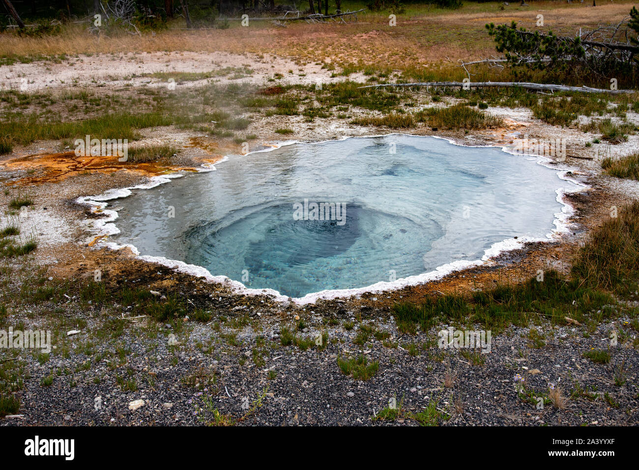 Hot spring in Yellowstone of vivid colors caused by thermophilic ...