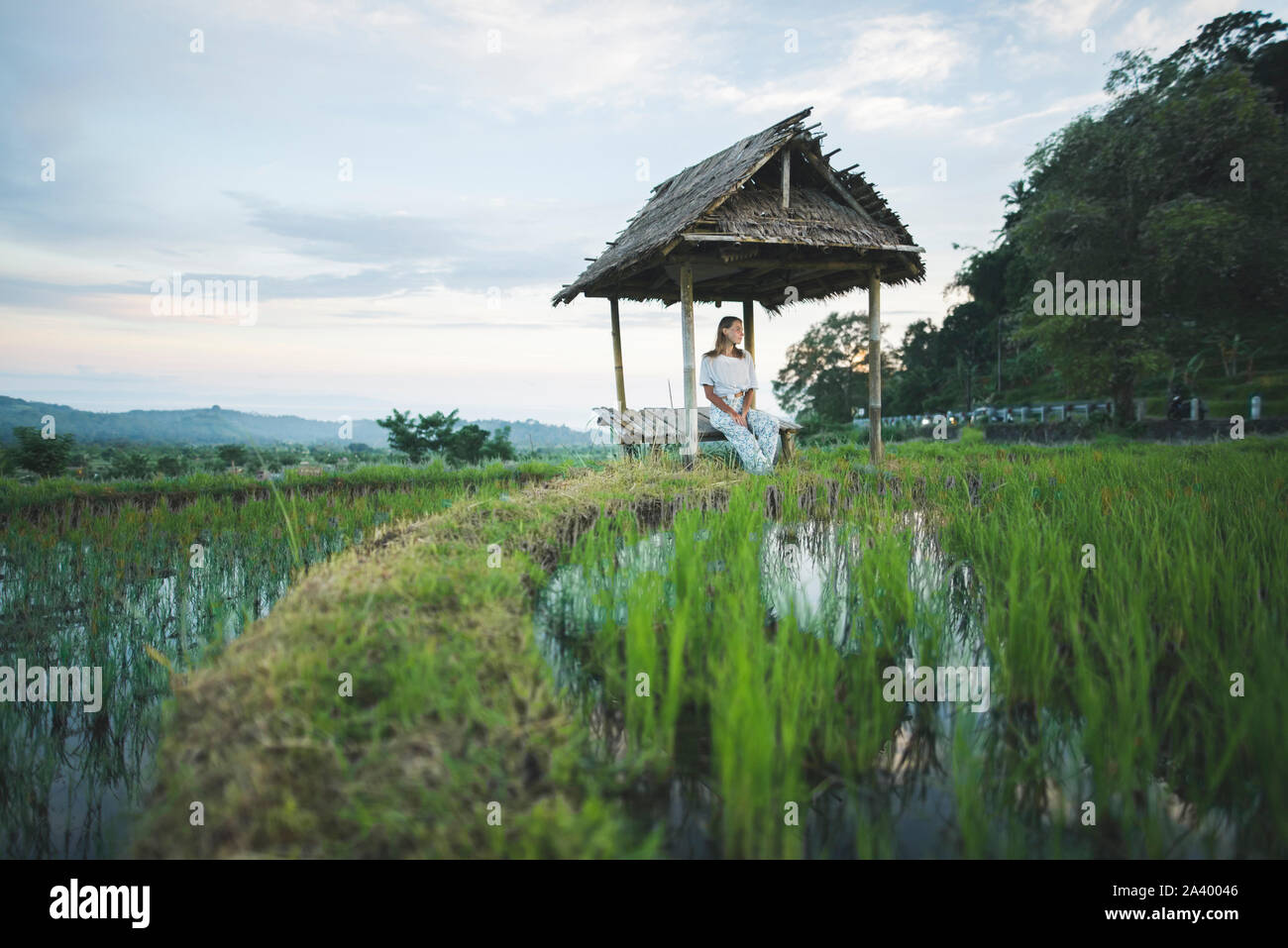 Woman sitting in hut by rice paddy in Bali, Indonesia Stock Photo - Alamy