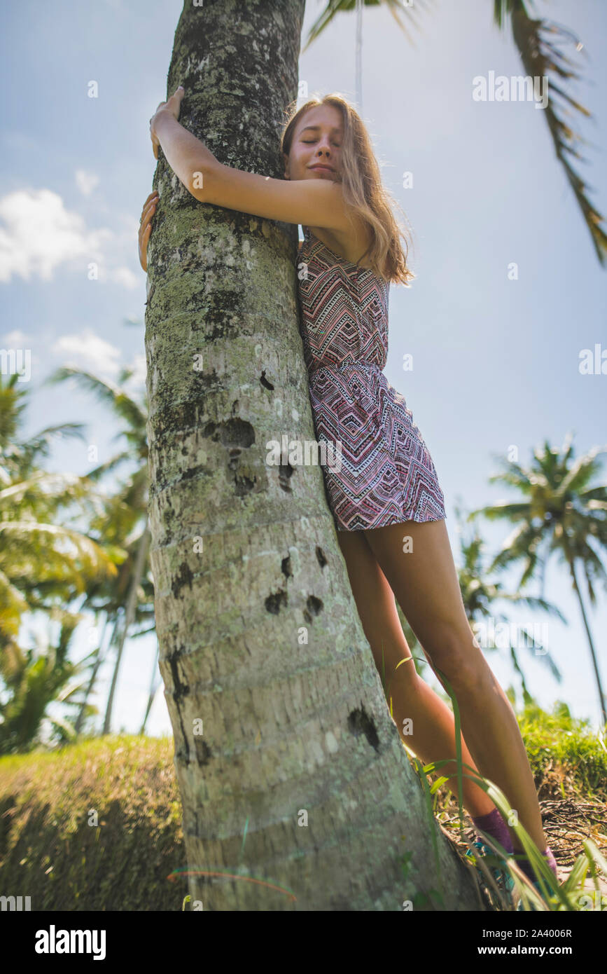 Hugging palm tree hi-res stock photography and images - Alamy