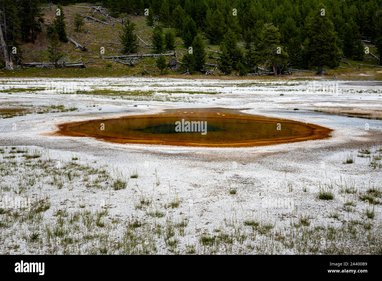 Orange hot spring in Yellowstone of vivid colors caused by thermophilic ...