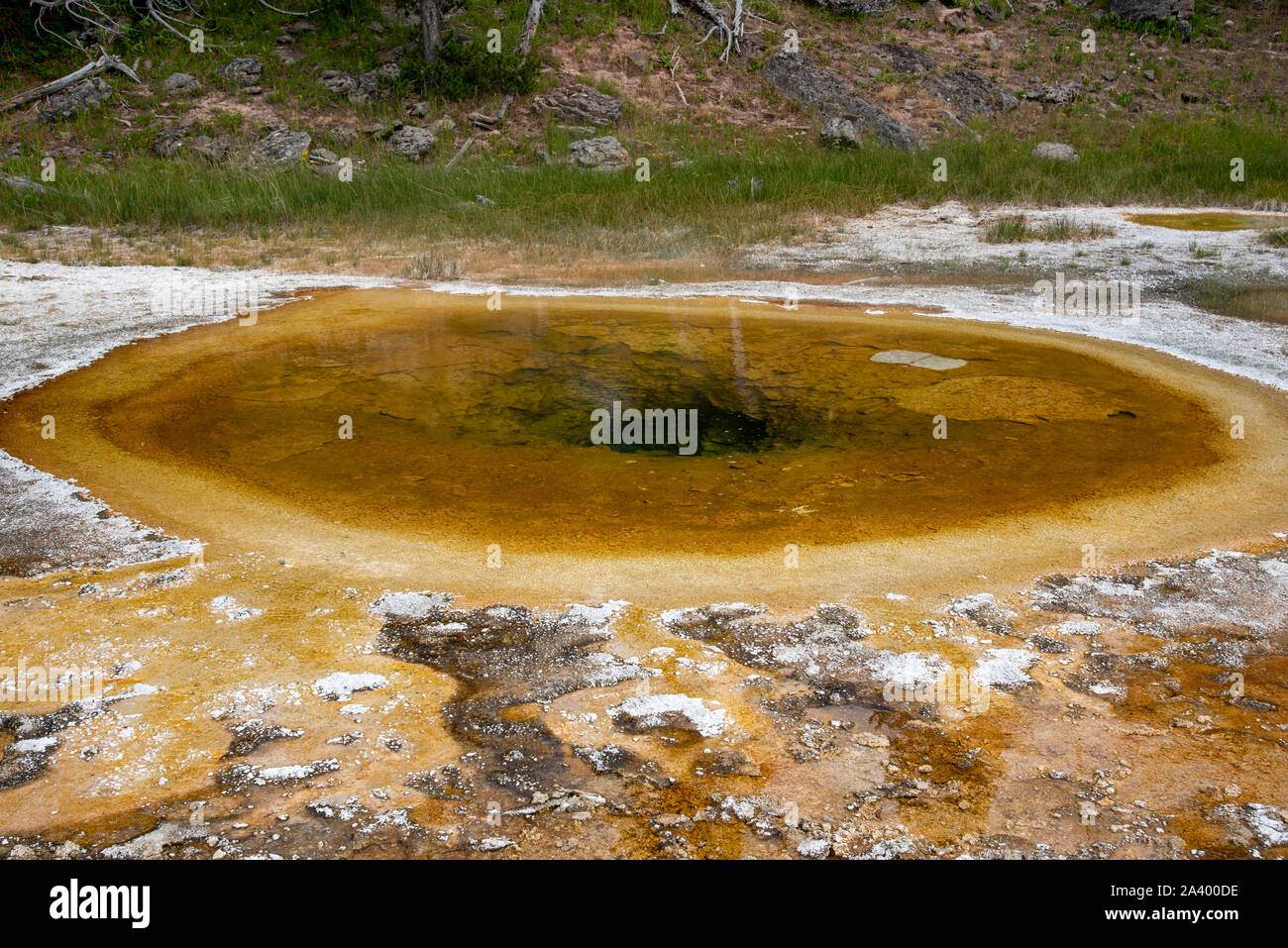 Orange hot spring in Yellowstone of vivid colors caused by thermophilic ...