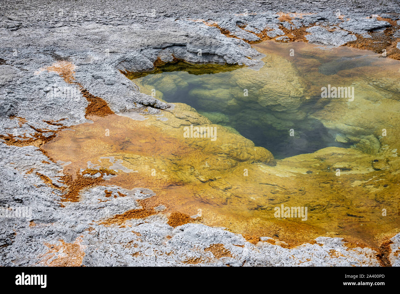 Colorful hot spring in Yellowstone of vivid colors caused by ...