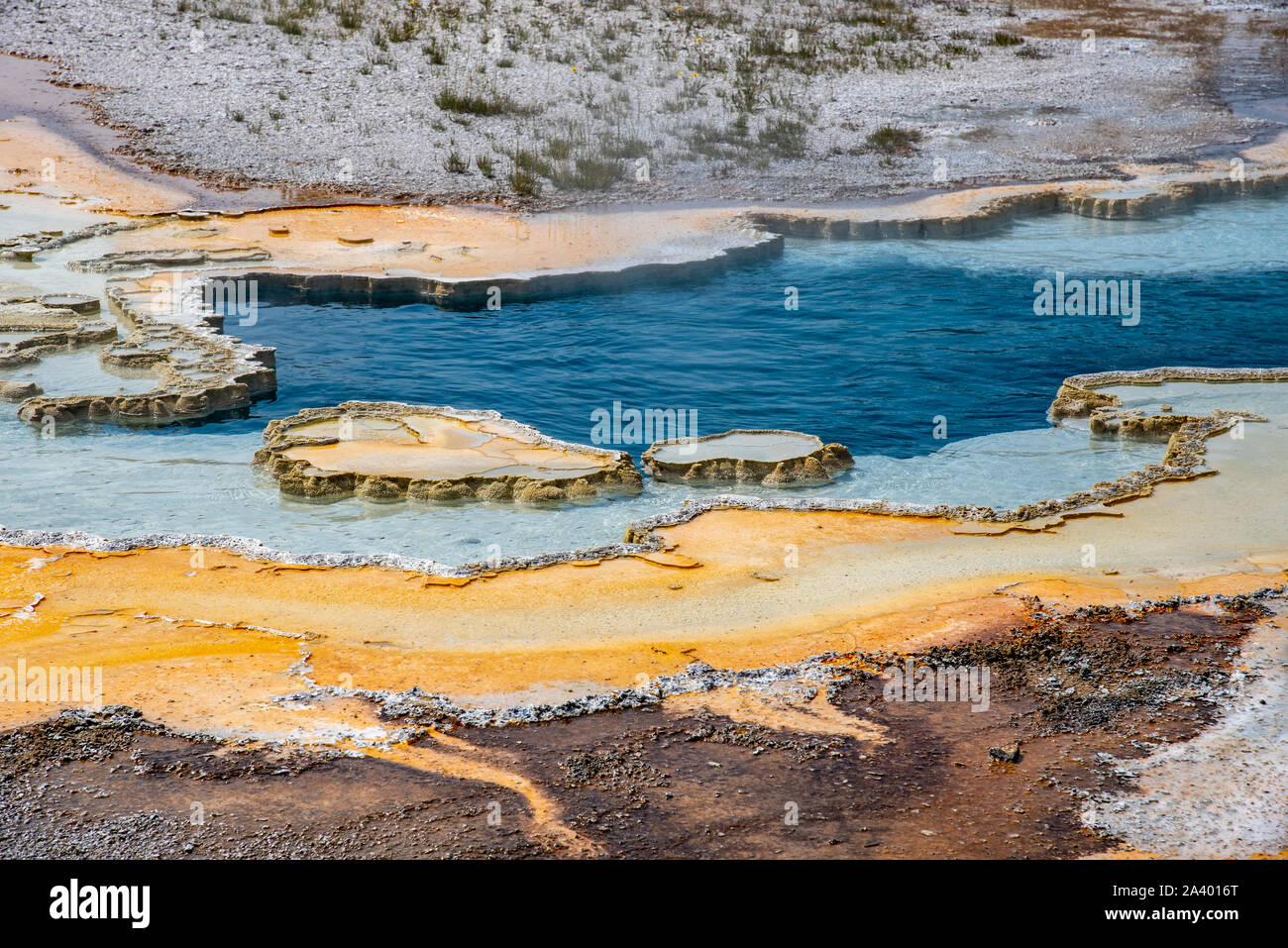 Doublet hot spring in Yellowstone of vivid colors caused by ...